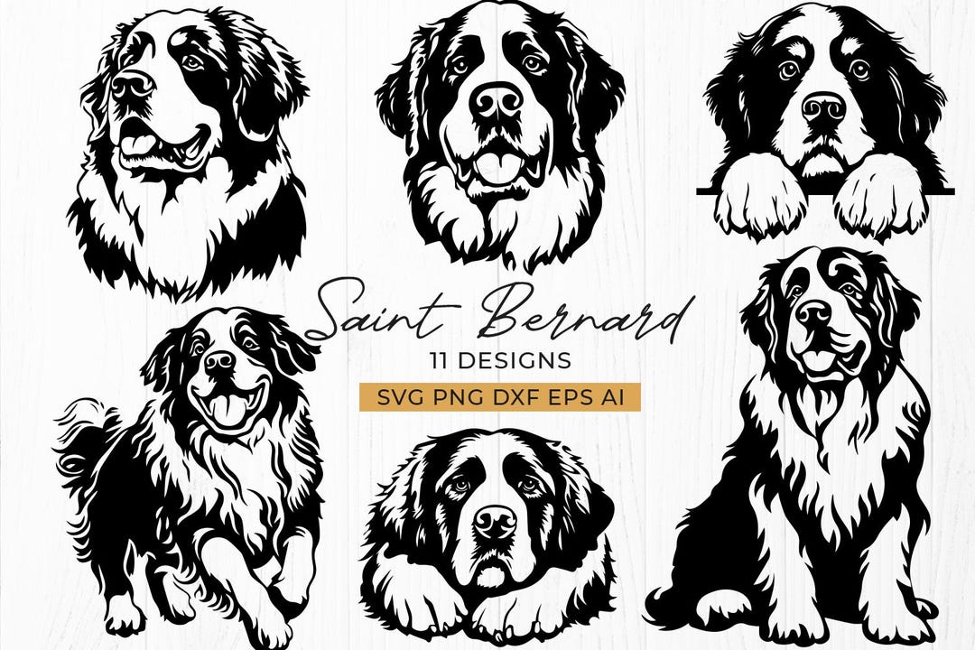 Saint Bernard Dog SVG Bundle | 11 Saint Bernard Designs | Dog Lover Svg ...