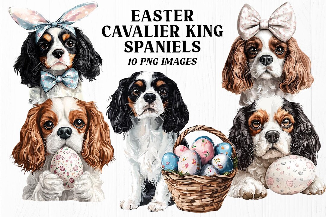 Easter Cavalier King Charles Spaniel Clipart | Cute Dog PNG, Spring ...