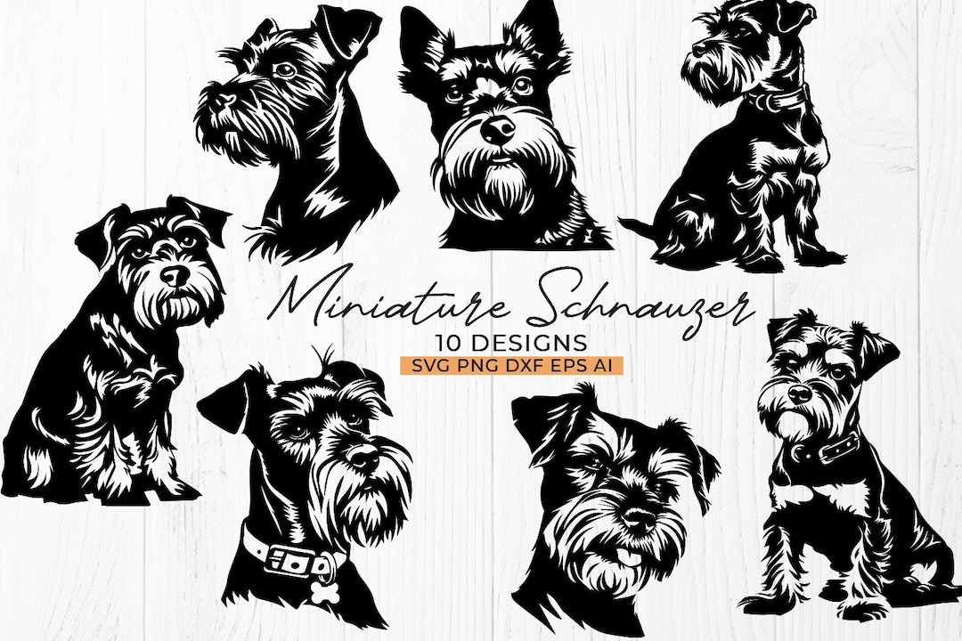 Miniature Schnauzer Dog SVG Bundle - 10 Cut Files for Schnauzer Owners ...