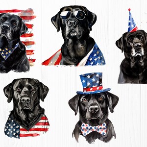 Patriotic Black Labrador Clipart 5 PNG Images Labrador Retriever ...