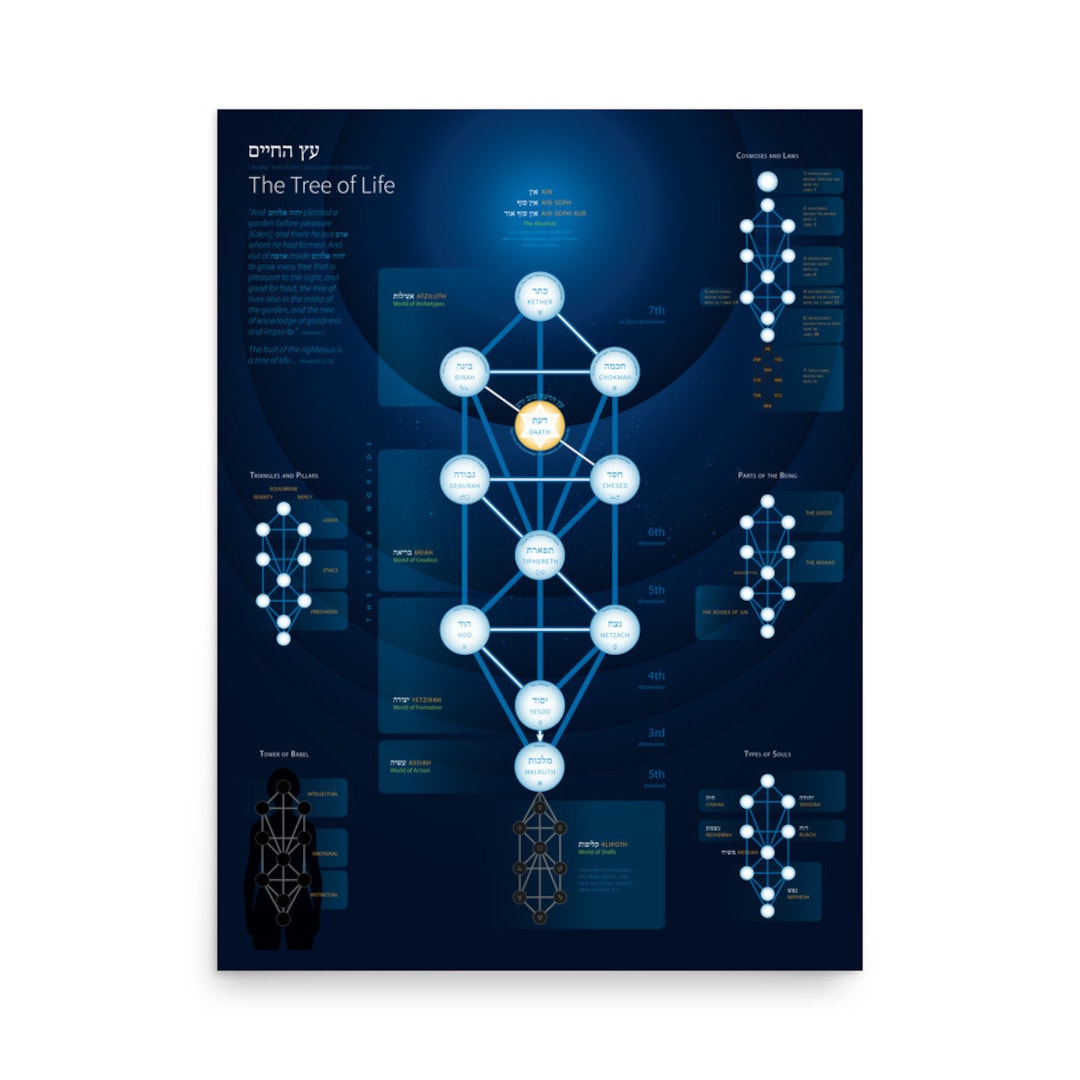 Tree of Life of Kabbalah Poster - Etsy