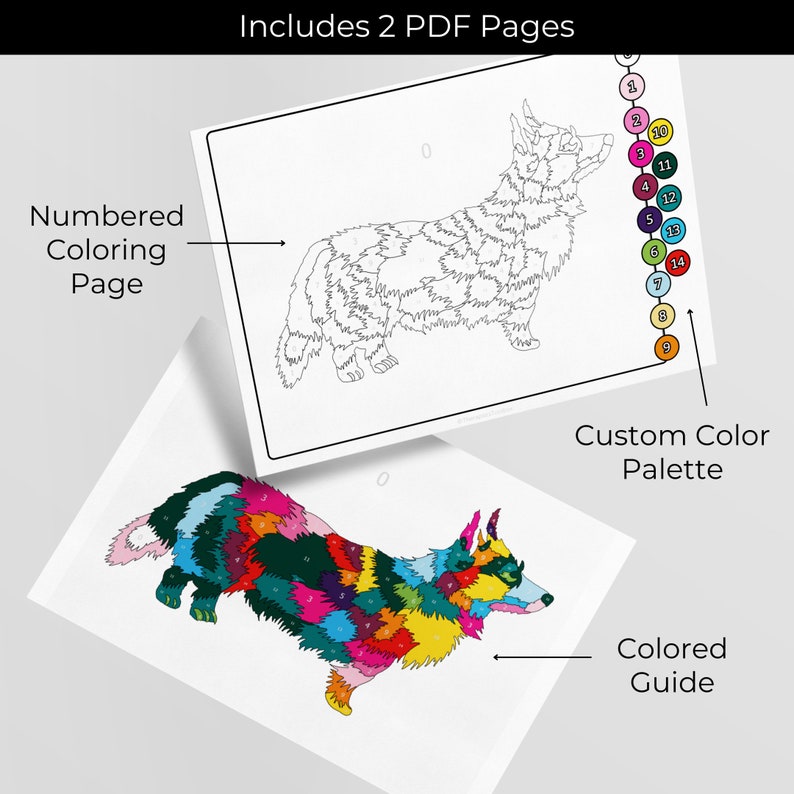 Color by Number: Therapeutic Printable Corgi Coloring Page PDF Instant ...