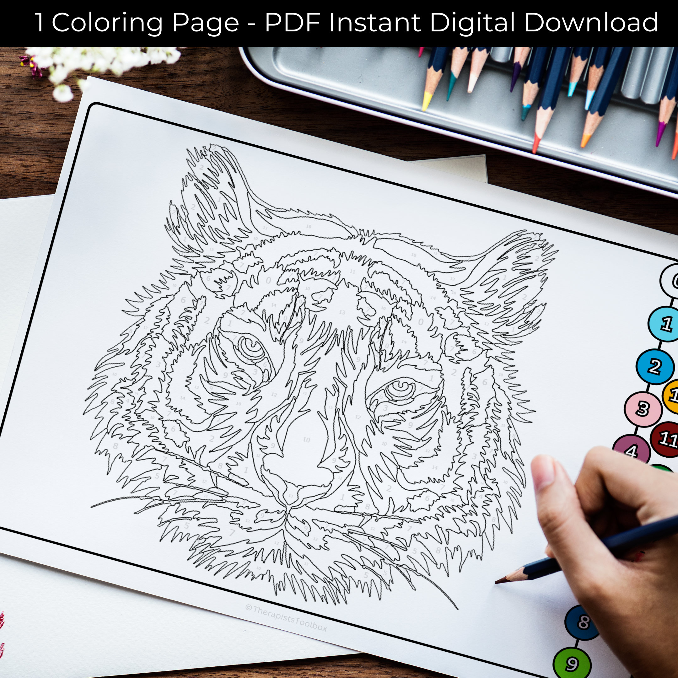 Color by Number: Therapeutic Printable Colorful Tiger Coloring Page PDF ...