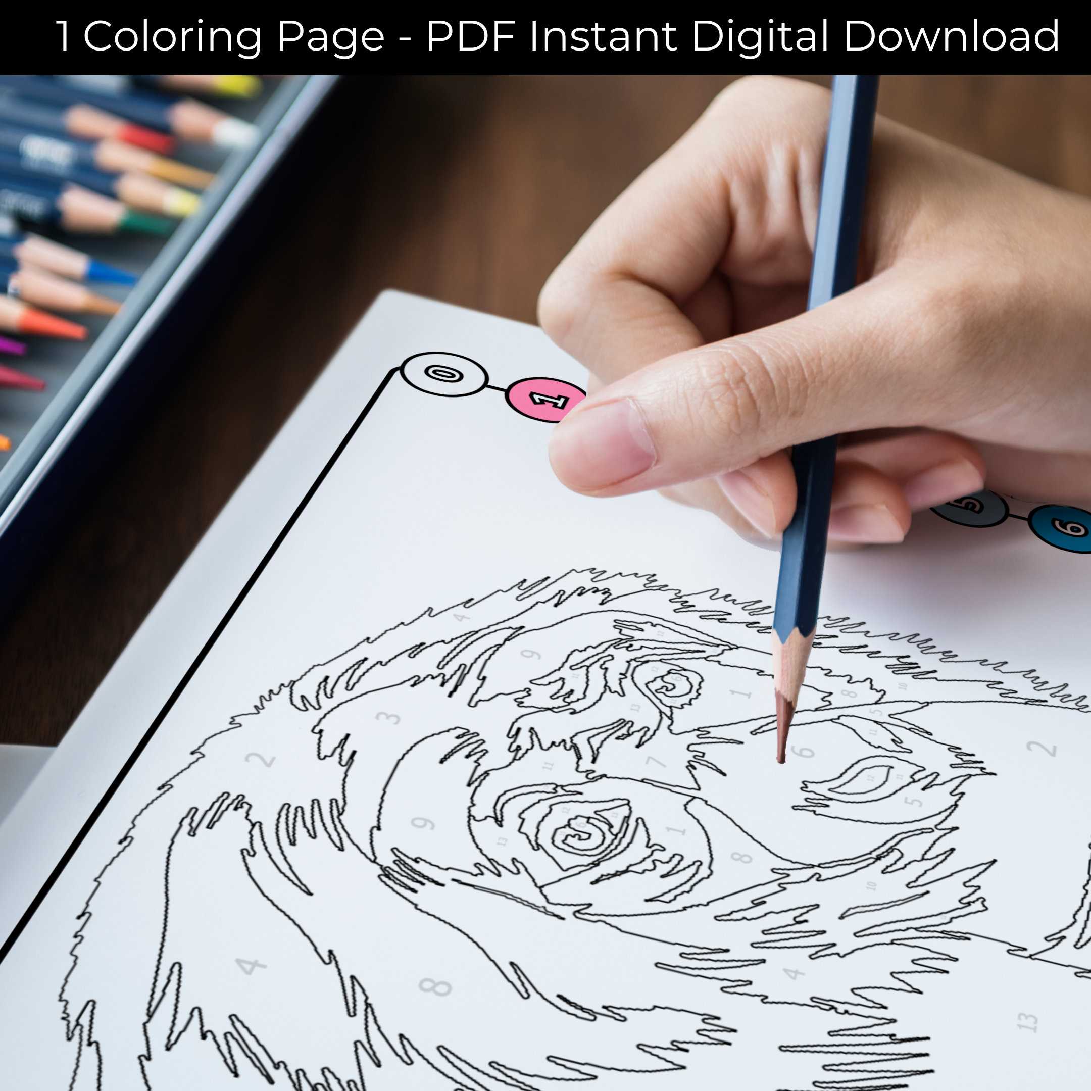 Color by Number: Therapeutic Printable Colorful Chimpanzee Coloring ...