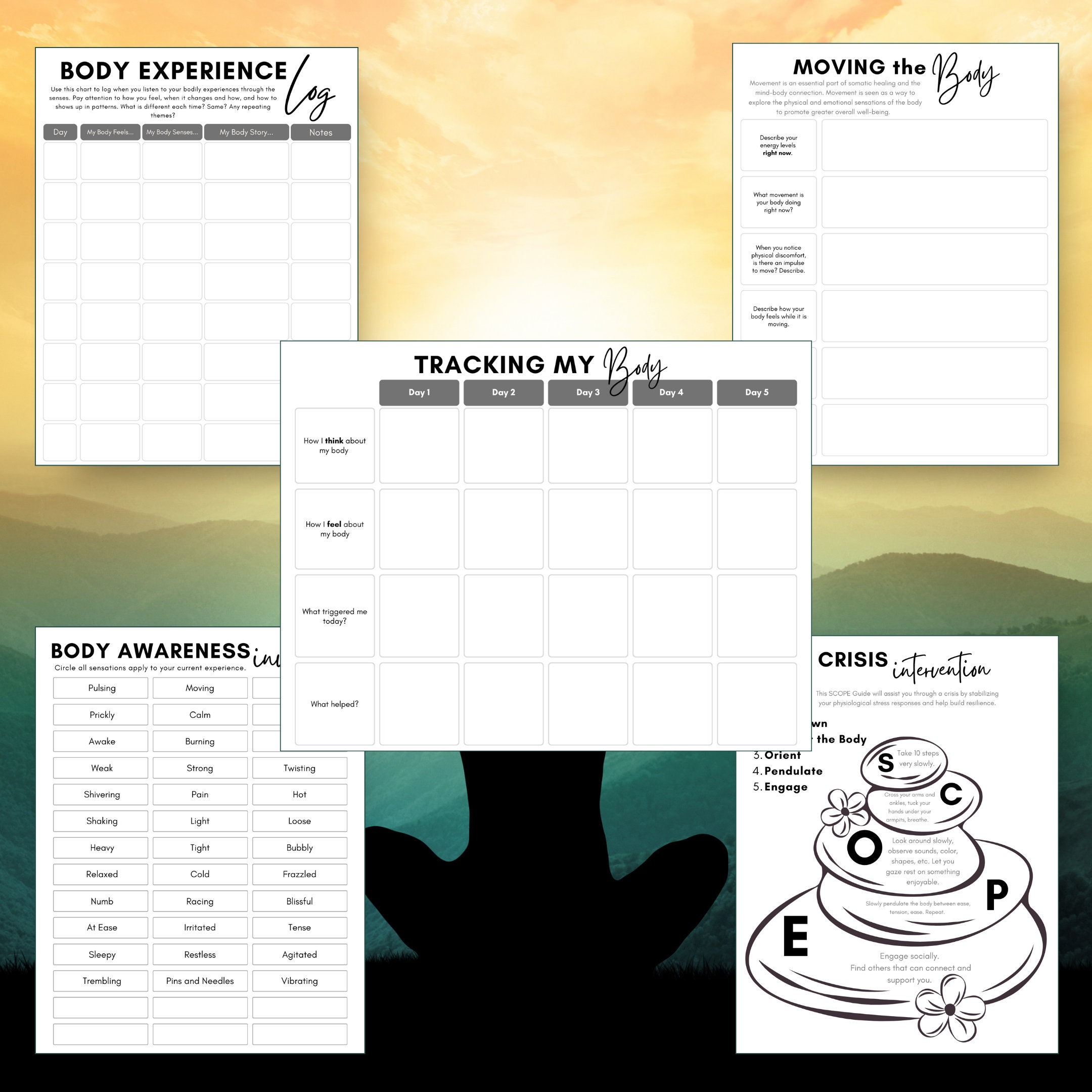 Somatic Psychotherapy Workbook to Help the Body Recover and Find Inner ...