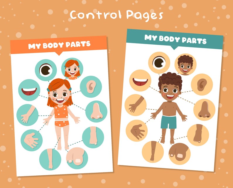 Body Parts Activities Learning Pack - Human Anatomy Preschool ...