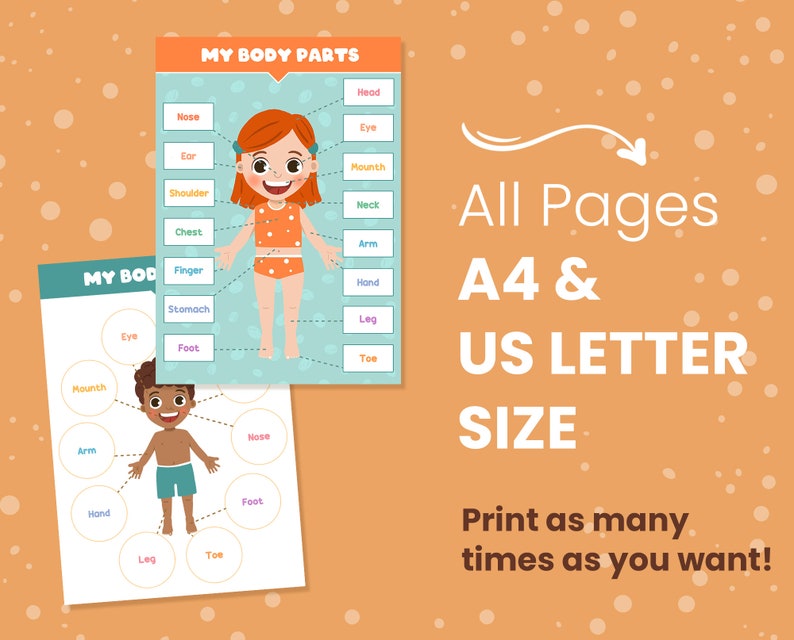 Body Parts Activities Learning Pack - Human Anatomy Preschool ...