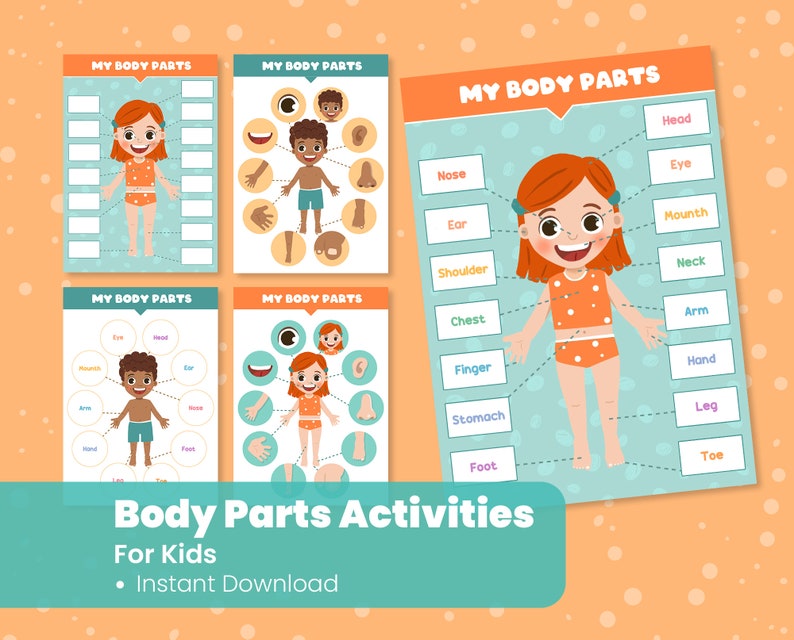 Body Parts Activities Learning Pack - Human Anatomy Preschool ...