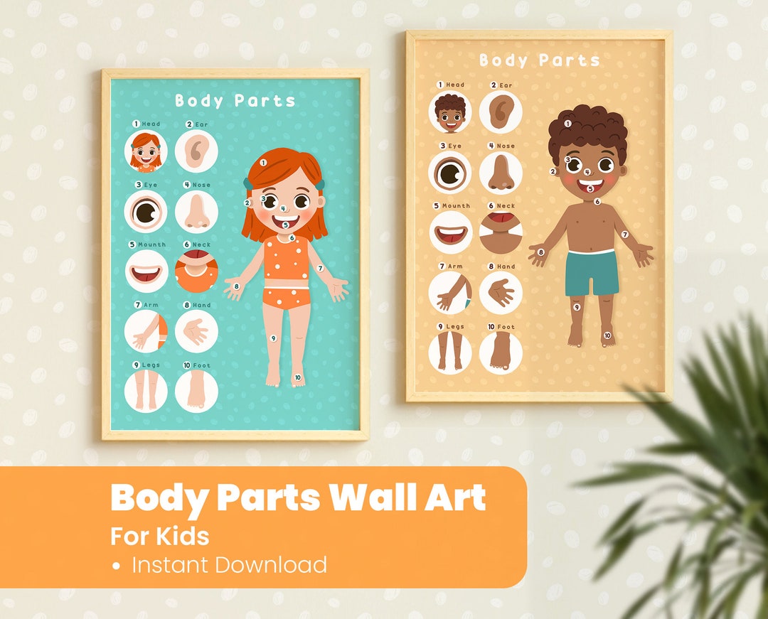 Humans Body Parts Posters Educational Classroom Poster Printable ...