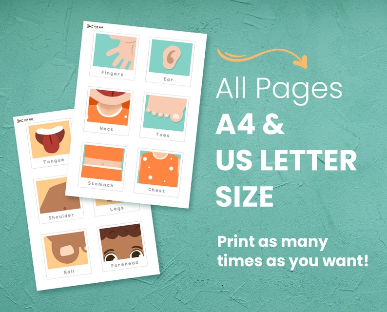 Toddler Flash Cards - Body Parts Cards - Pre-school Cards - Homeschool ...