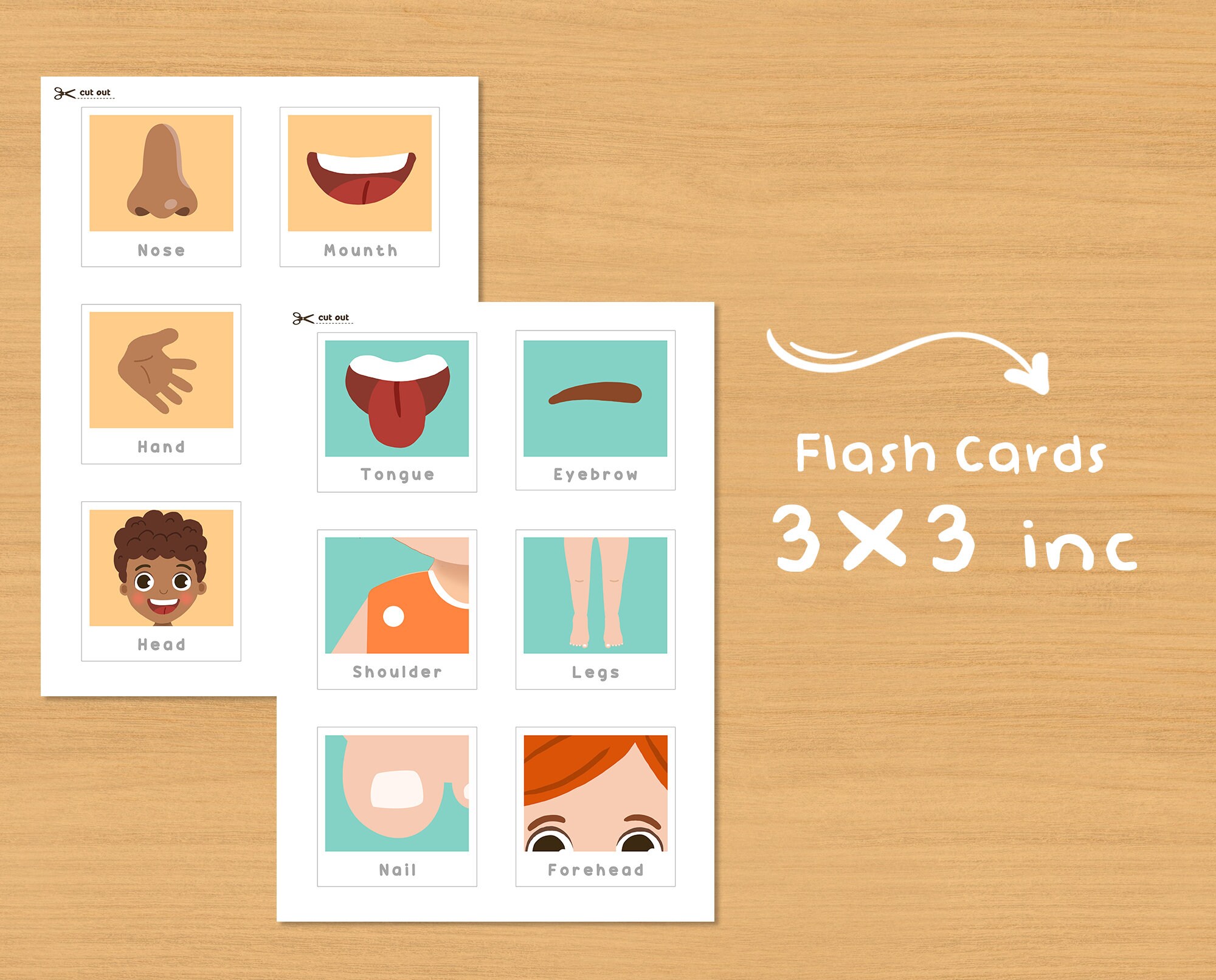 Body Parts Busy Book Learning Activity Bundle - Human Anatomy - Toddler ...