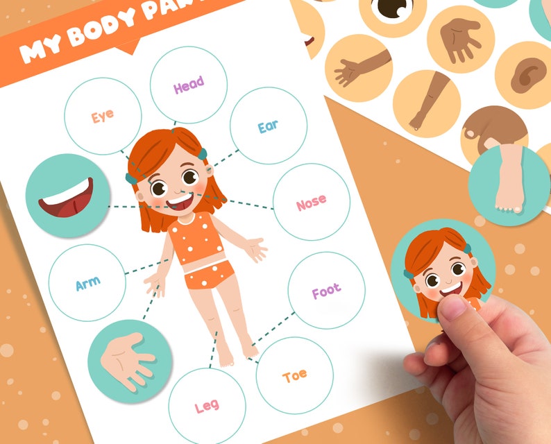 Body Parts Activities Learning Pack - Human Anatomy Preschool ...