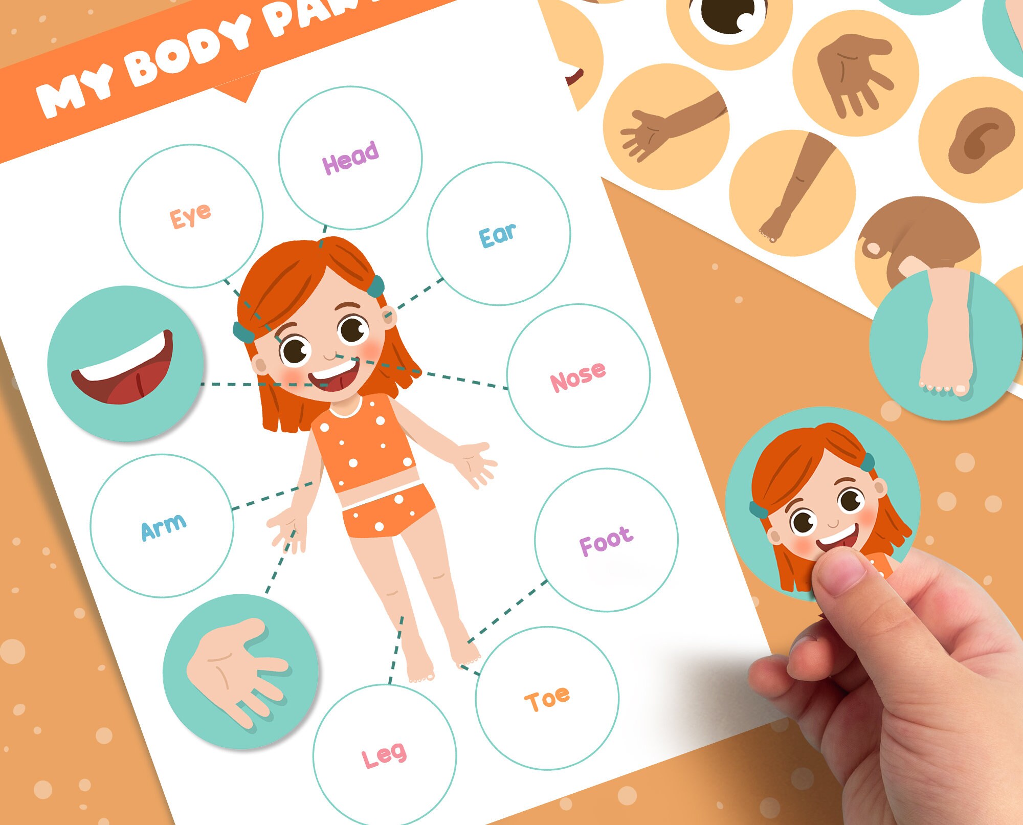 Body Parts Activities Learning Pack - Human Anatomy Preschool ...