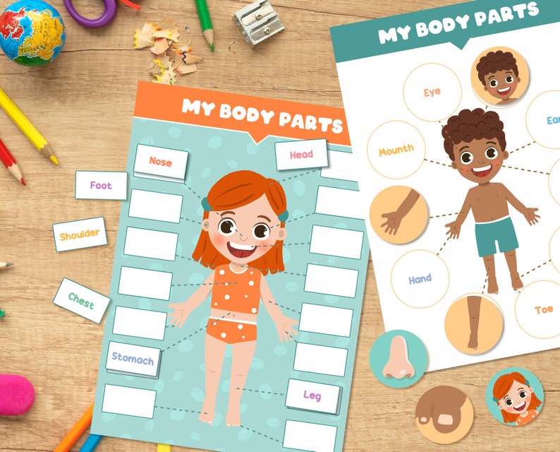 Body Parts Busy Book Learning Activity Bundle - Human Anatomy - Toddler ...