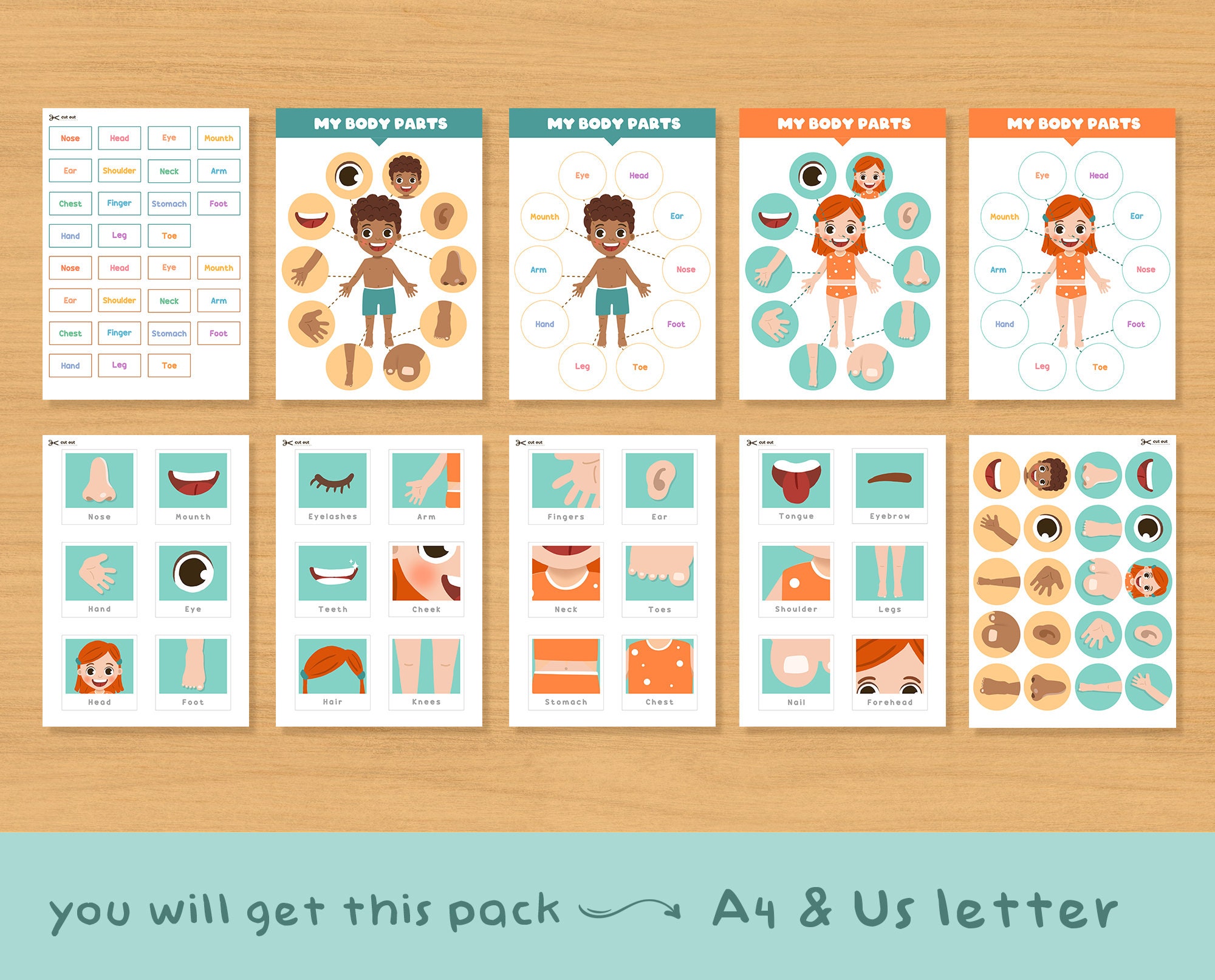 Body Parts Busy Book Learning Activity Bundle - Human Anatomy - Toddler ...