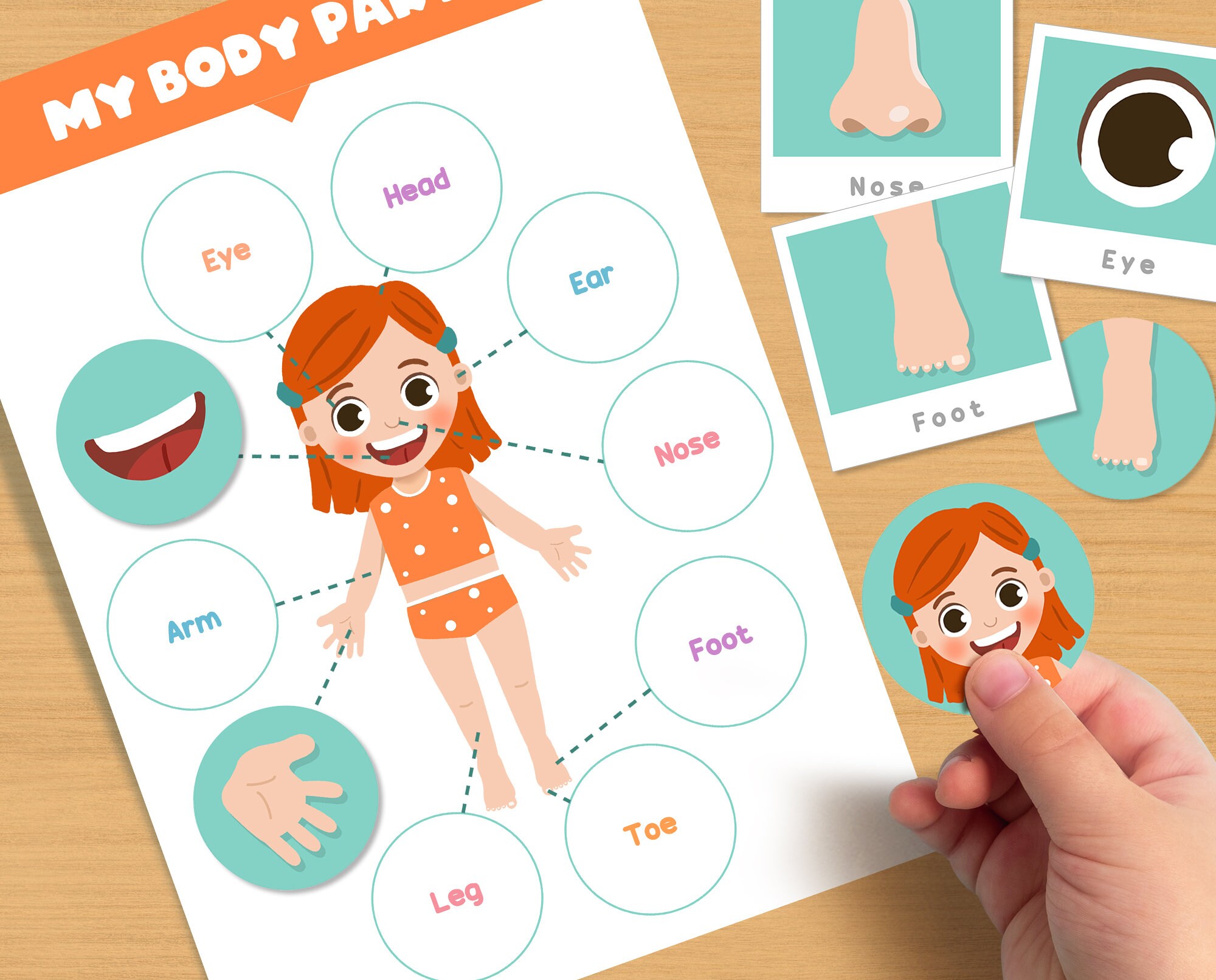 Body Parts Busy Book Learning Activity Bundle - Human Anatomy - Toddler ...