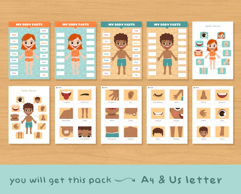 Body Parts Busy Book Learning Activity Bundle - Human Anatomy - Toddler ...