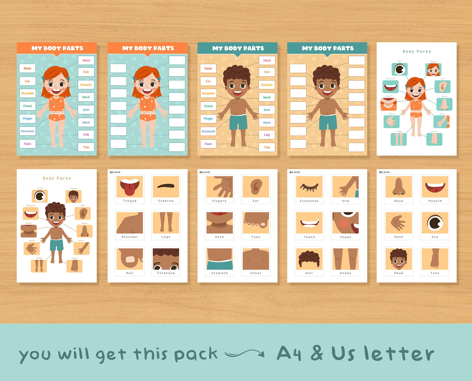 Body Parts Busy Book Learning Activity Bundle - Human Anatomy - Toddler ...