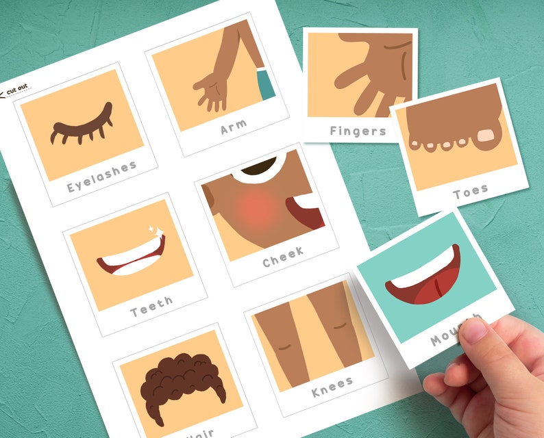 Toddler Flash Cards Body Parts Cards Pre-school Cards Homeschool ...