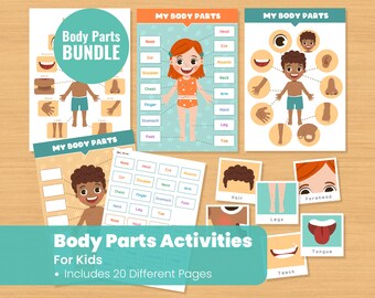 Face Parts Learning Activity Flashcards Human Anatomy Preschool ...