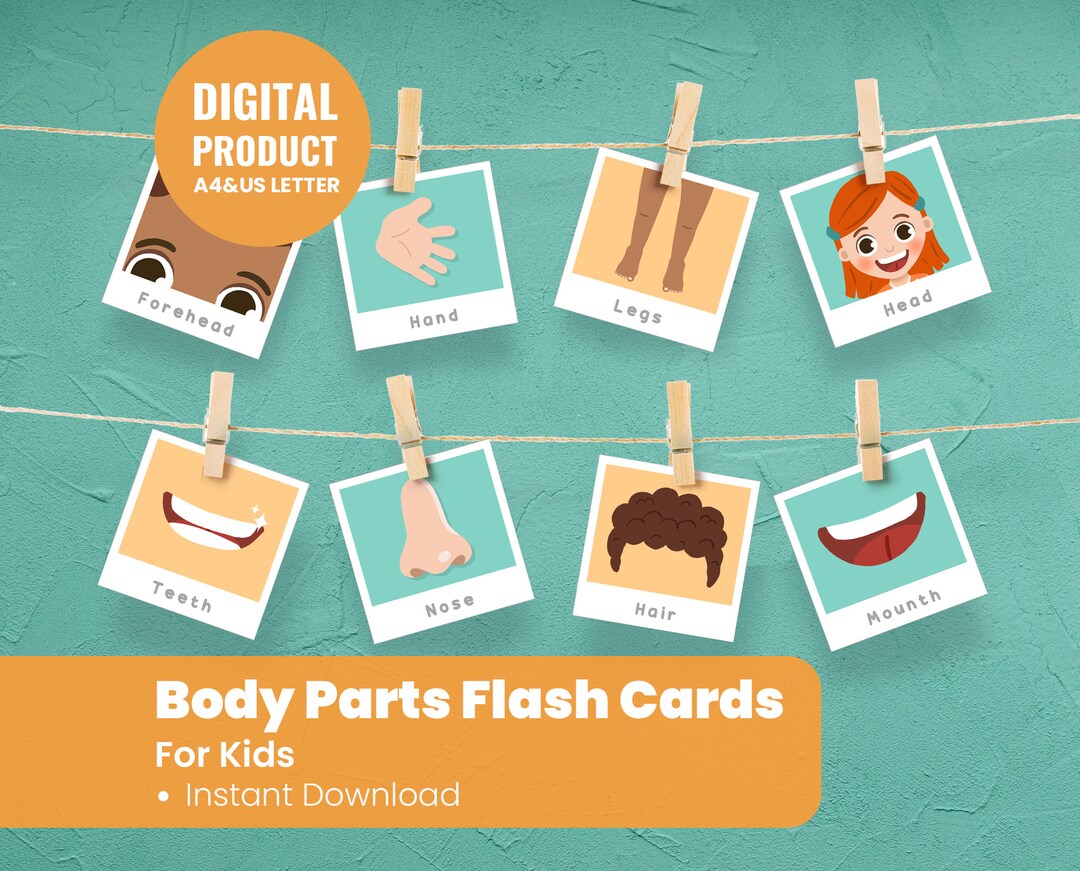 Toddler Flash Cards - Body Parts Cards - Pre-school Cards - Homeschool ...