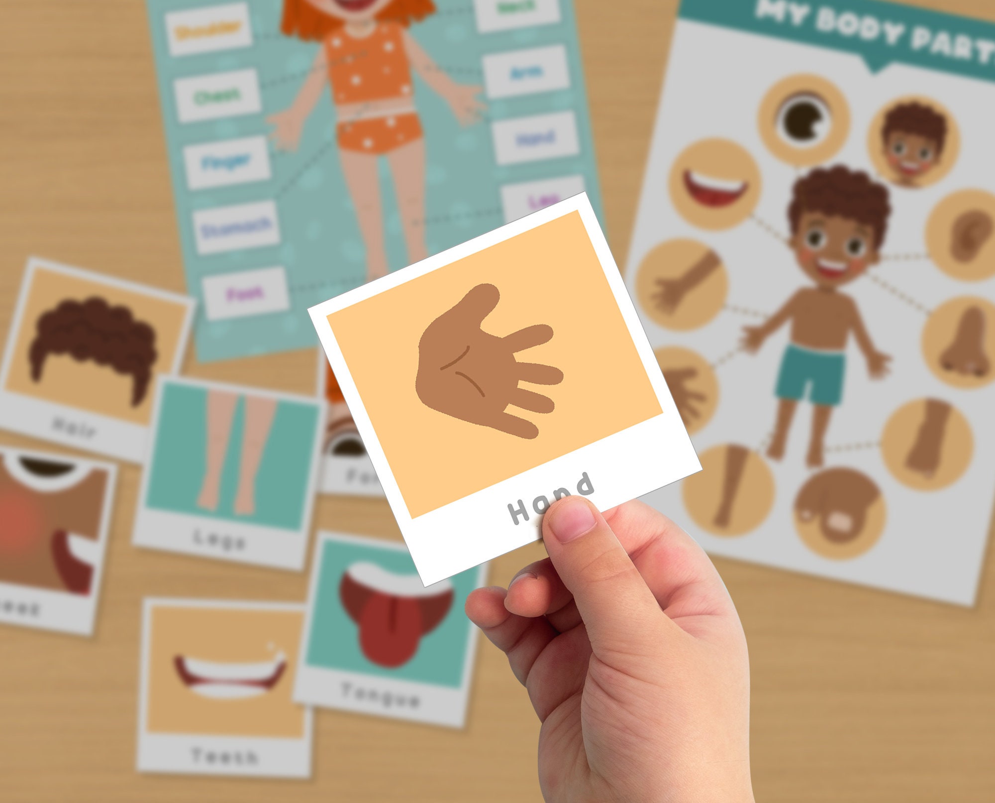 Body Parts Busy Book Learning Activity Bundle - Human Anatomy - Toddler ...