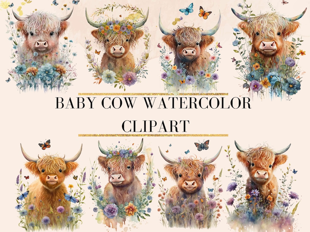 Baby Cow Watercolor Clipart Watercolor Highland Cows Clipart - Etsy