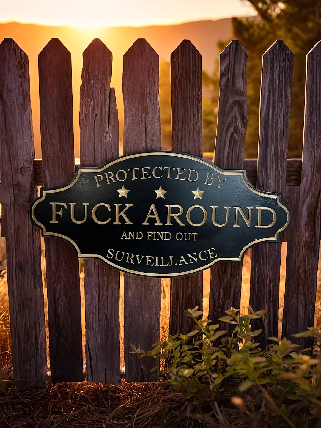 Witty Wooden Warning Sign: Handcrafted Home & Garden Humor - Etsy