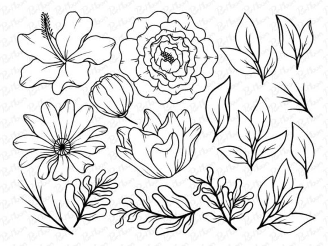Flowers Line Art - Etsy