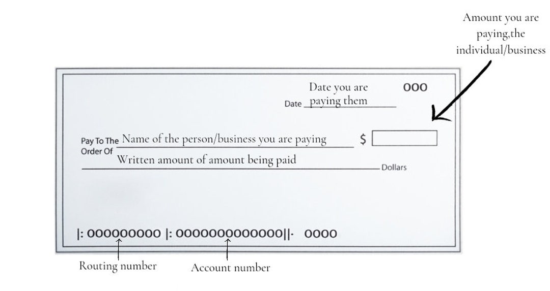 Essential Check Writing Practice Sheets for Kids Interactive PDF ...