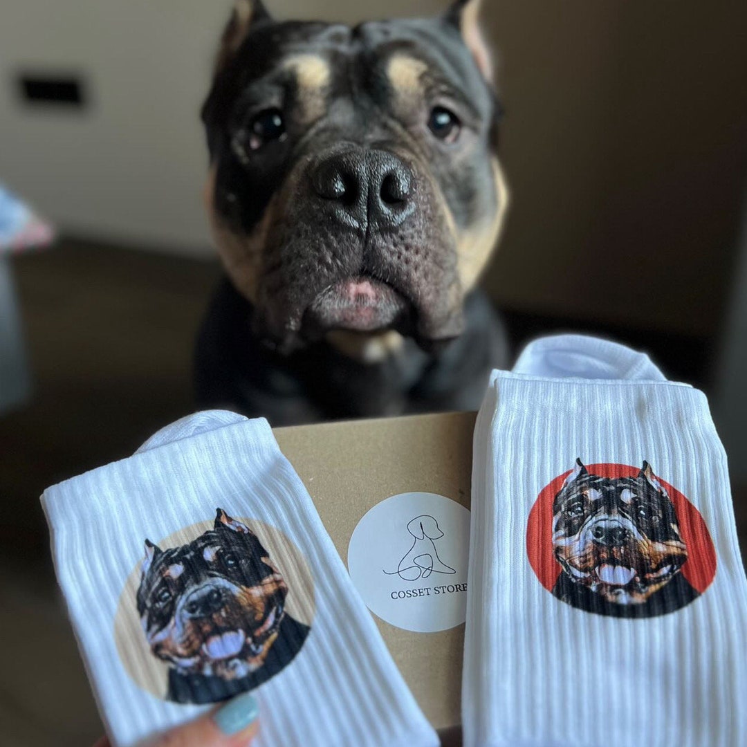 Custom Pet Photo Socks Personalized Pet Socks Custom Dog Socks Custom ...