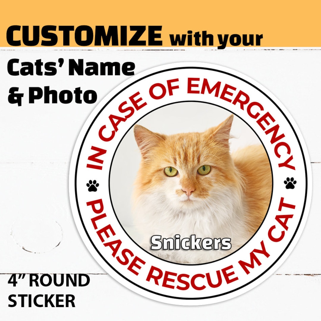 CUSTOM Cat STICKER With Cat Name and Photo, Indoor Cat Emergency, in ...