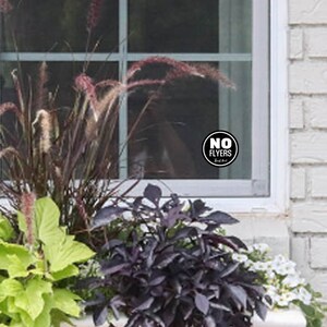 No Flyers STICKER, No Flyers Thank You, Mail Box Sticker, Mail Box ...