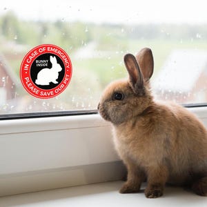 Pet Emergency Decal, Save Bunny Sticker, Animal in Case of Emergency ...