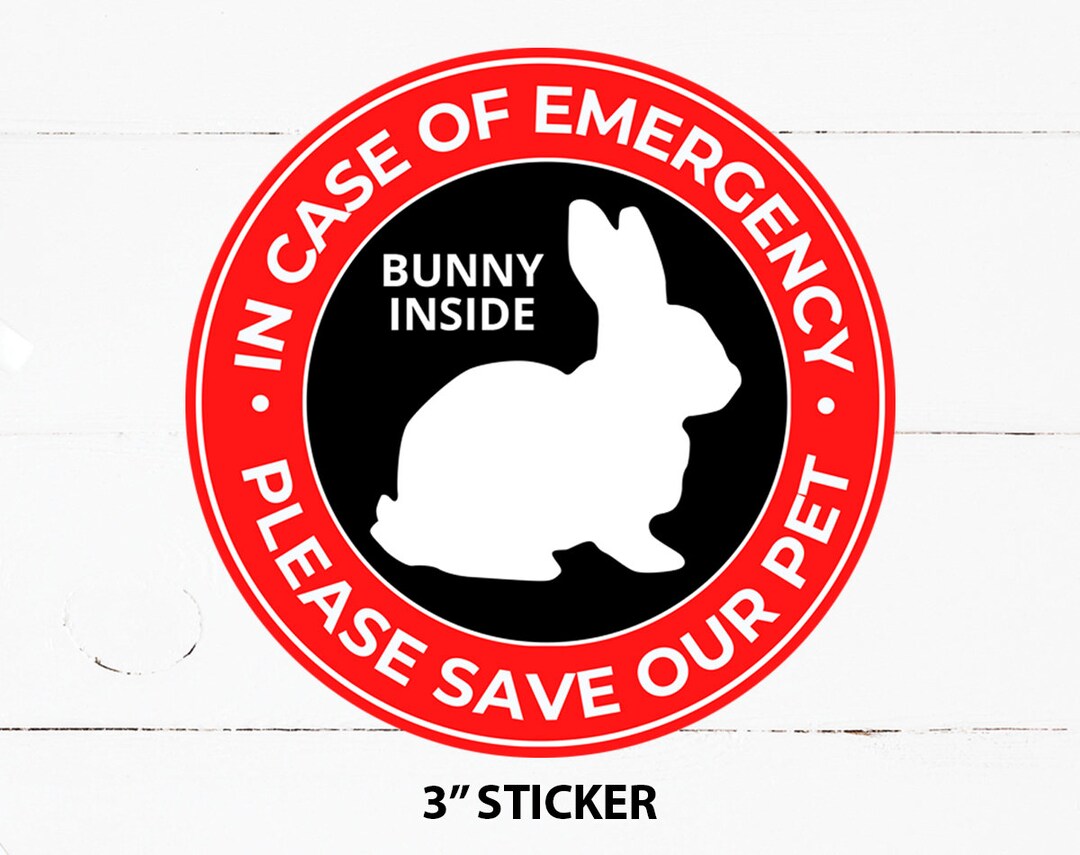 Bunny Inside Pet Emergency STICKER, in Case of Emergency Save Bunny ...
