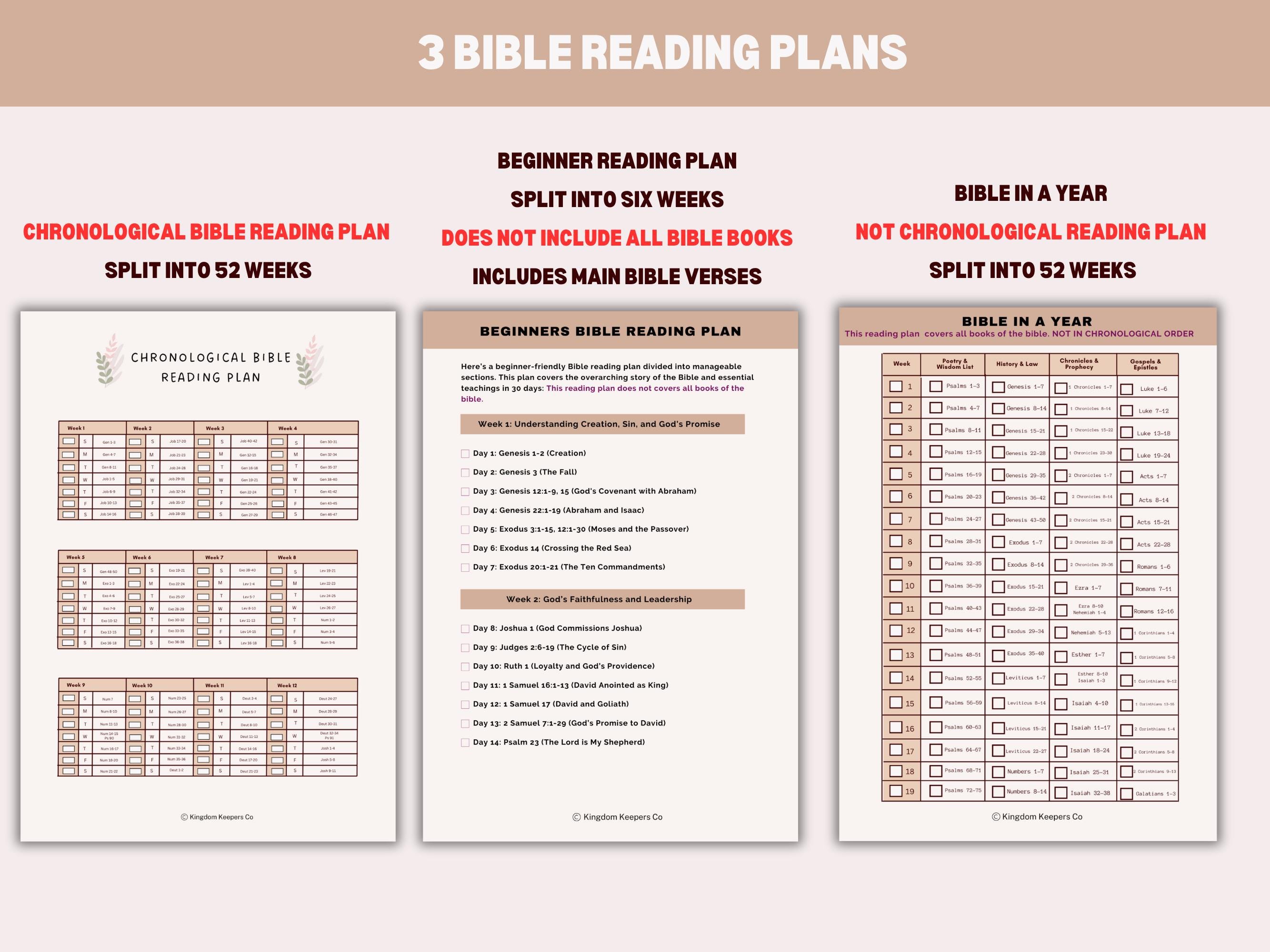 Beginner Bible Study Guide, Inductive Bible Study Guide, Bible Study ...