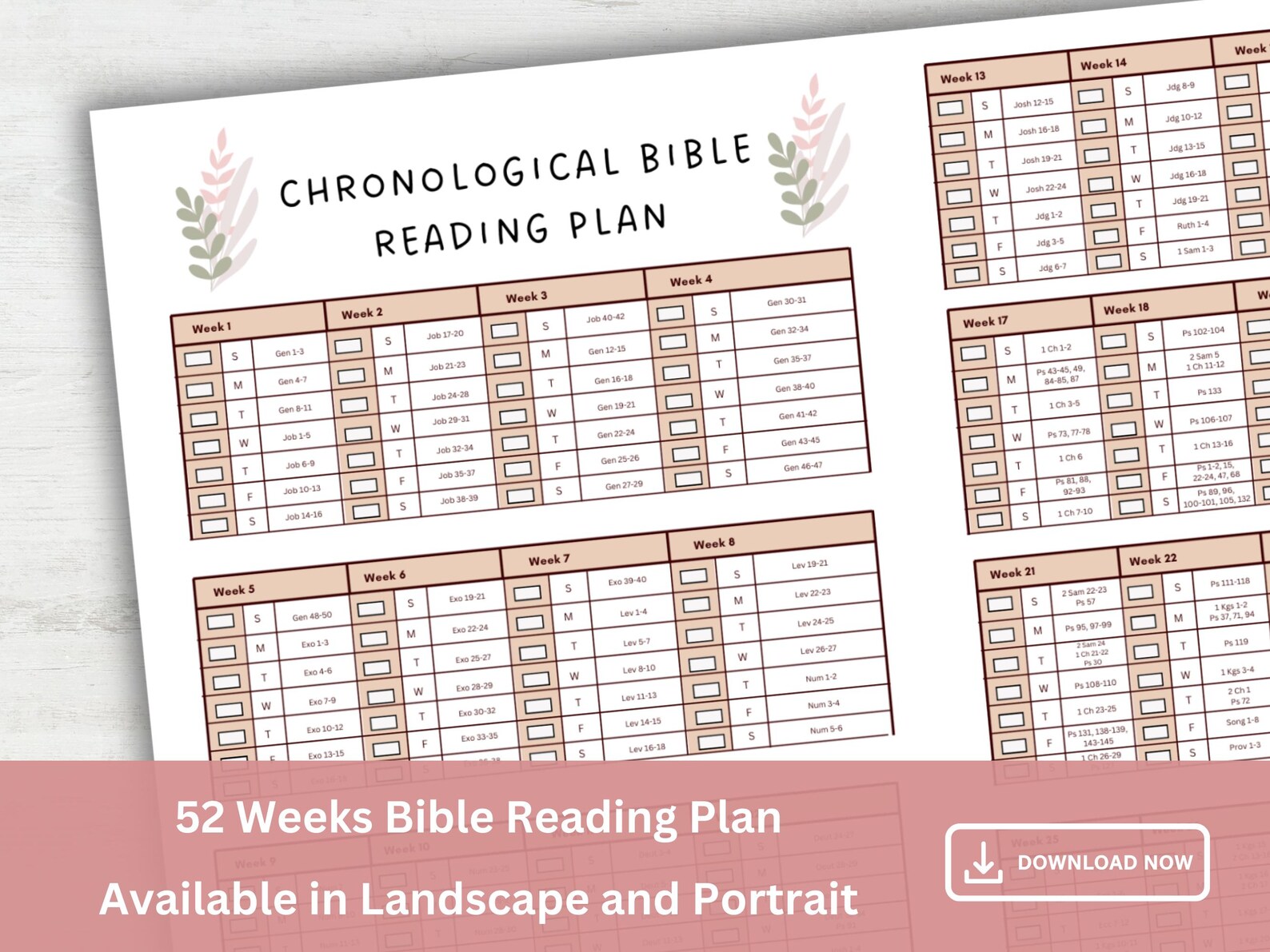Bible Reading Plan Chronological, Bible Reading Plan Beginner, Bible ...