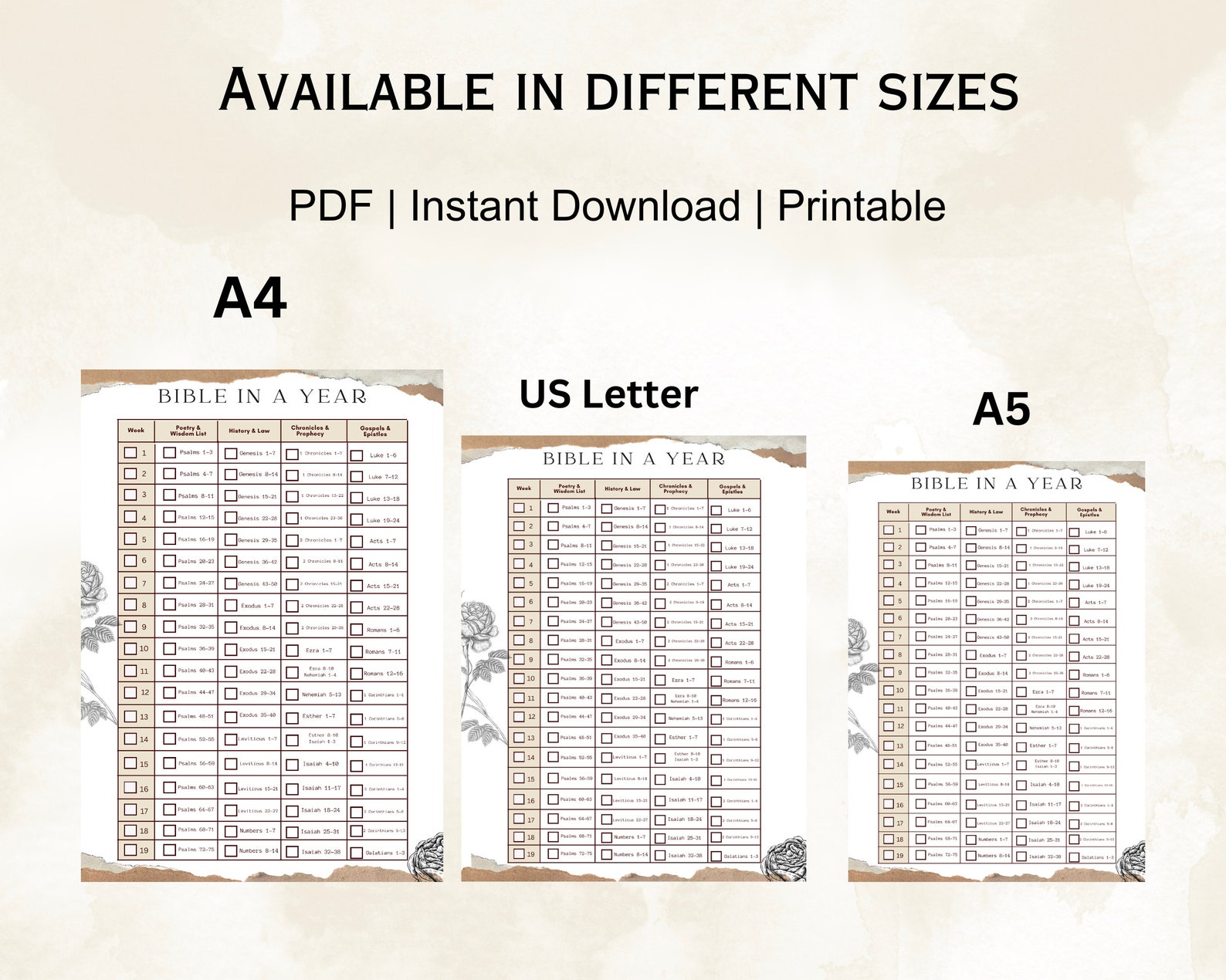 Bible Reading Plan Beginner, Chronological Bible Reading Plan 2024 ...