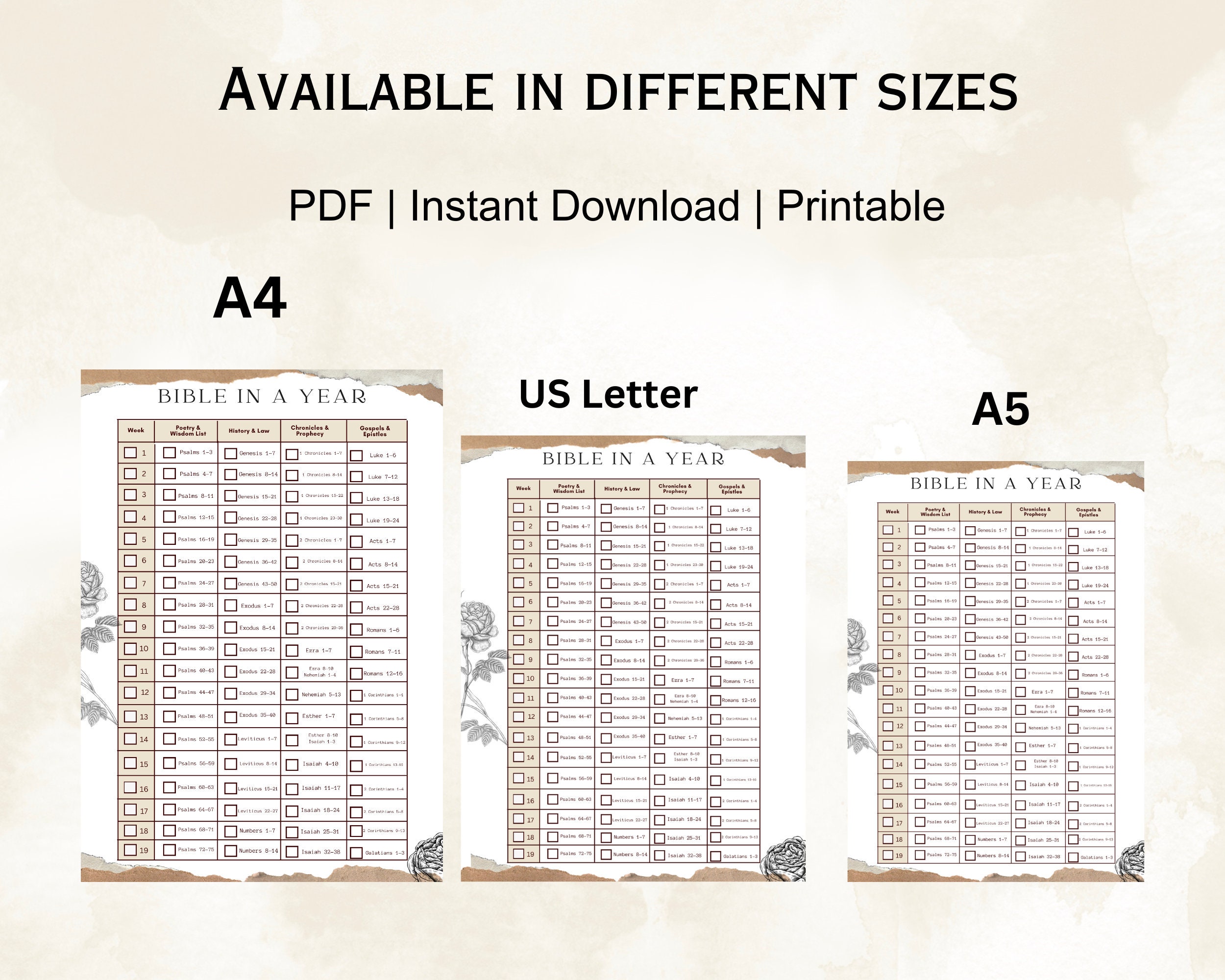 Bible Reading Plan Beginner, Chronological Bible Reading Plan 2024 ...