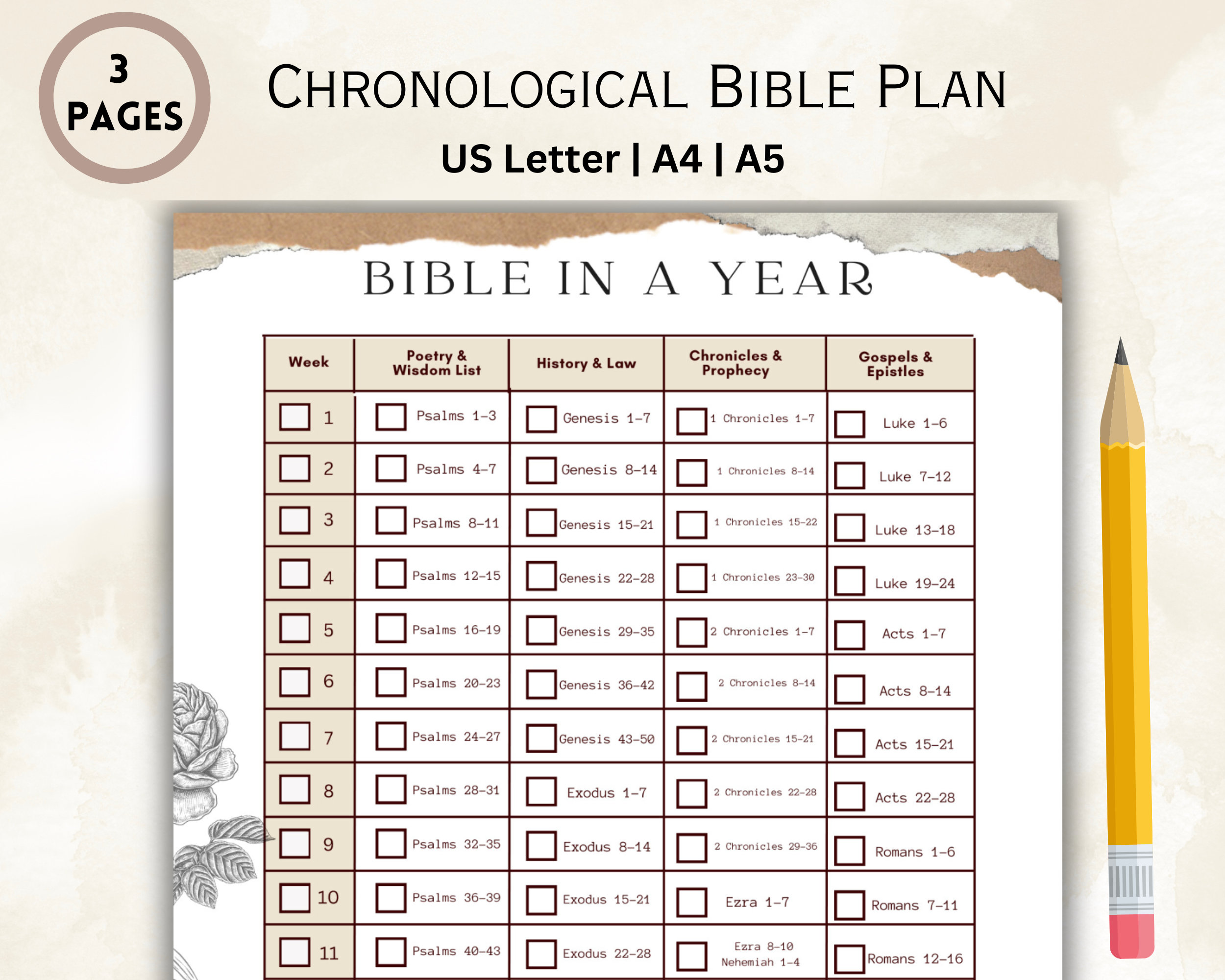 Bible Reading Plan Beginner, Chronological Bible Reading Plan 2024 ...