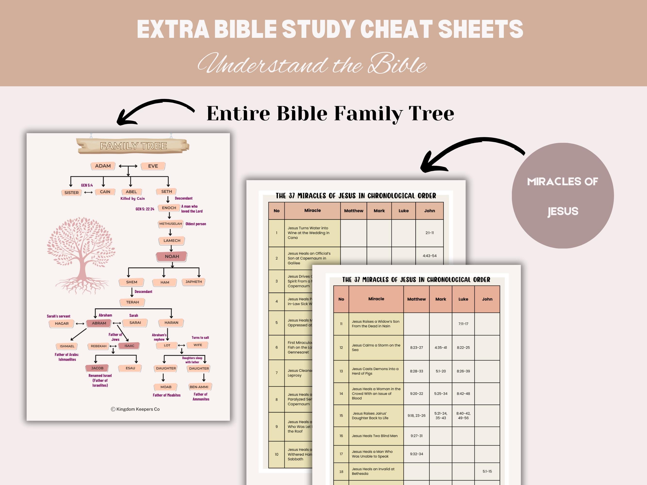 Beginner Bible Study Guide, Inductive Bible Study Guide, Bible Study ...