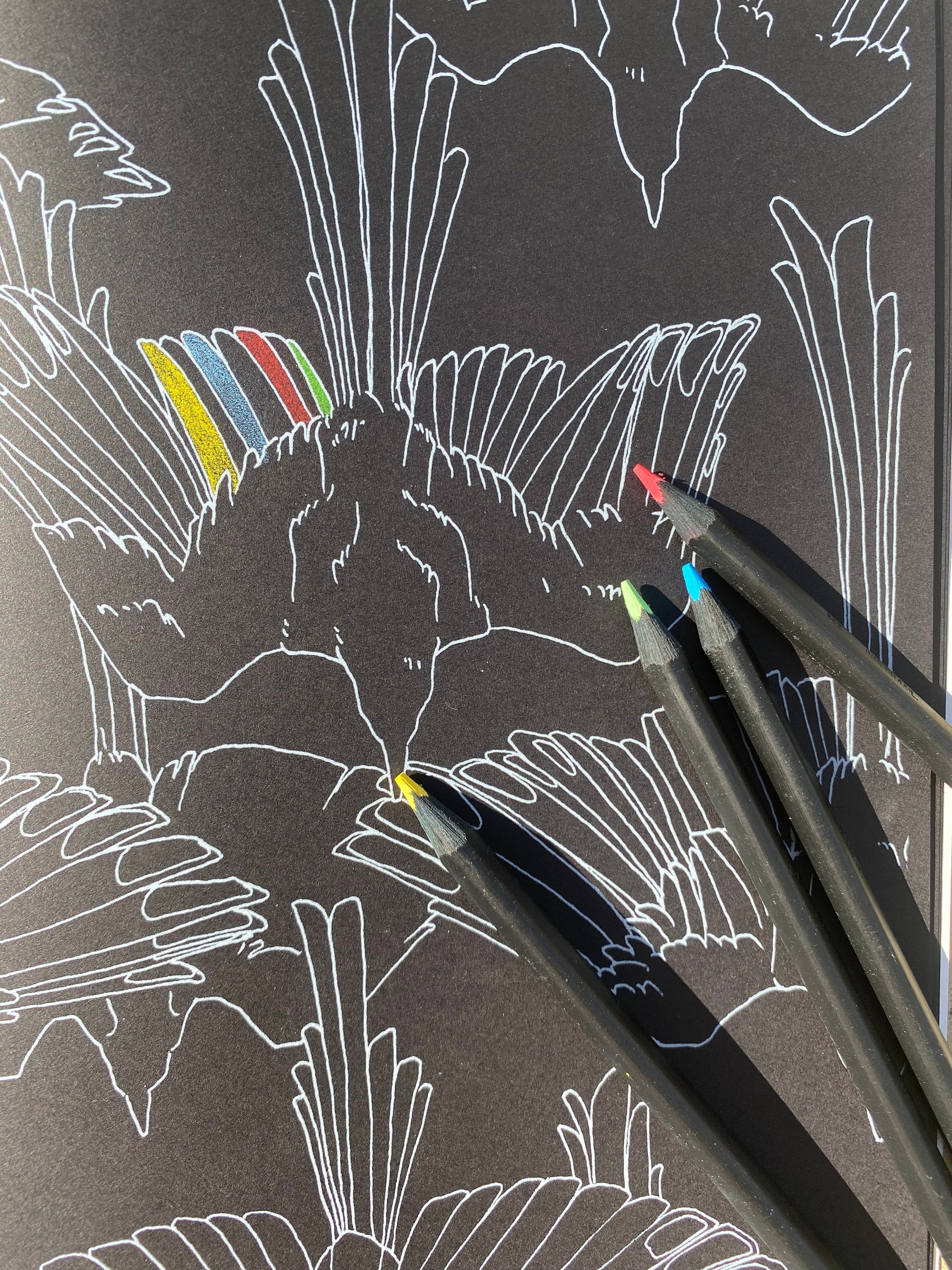 Wild & Wondrous Nature Tour - Black Paper Coloring Book by Nyxbook - Etsy
