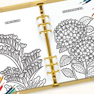 MEGA BUNDLE, 8 Educational Colouring Books, Alphabet, Numbers ...