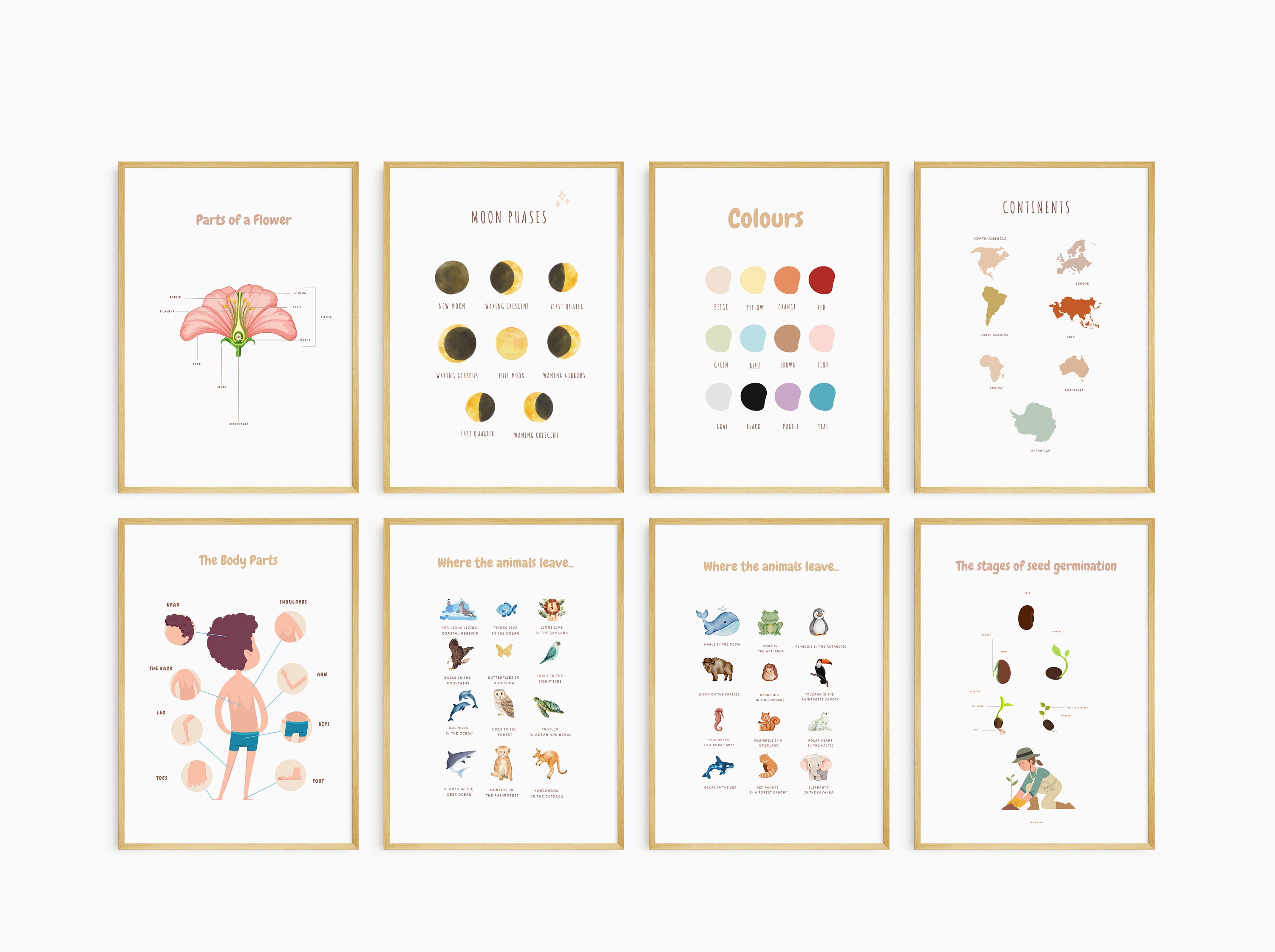 Bundle of 150 Educational Posters Homeschool Learning Prints Printables ...