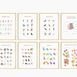Bundle of 150 Educational Posters Homeschool Learning Prints Printables ...