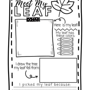 PRINTABLE: Meet My Leaf Activity - Etsy