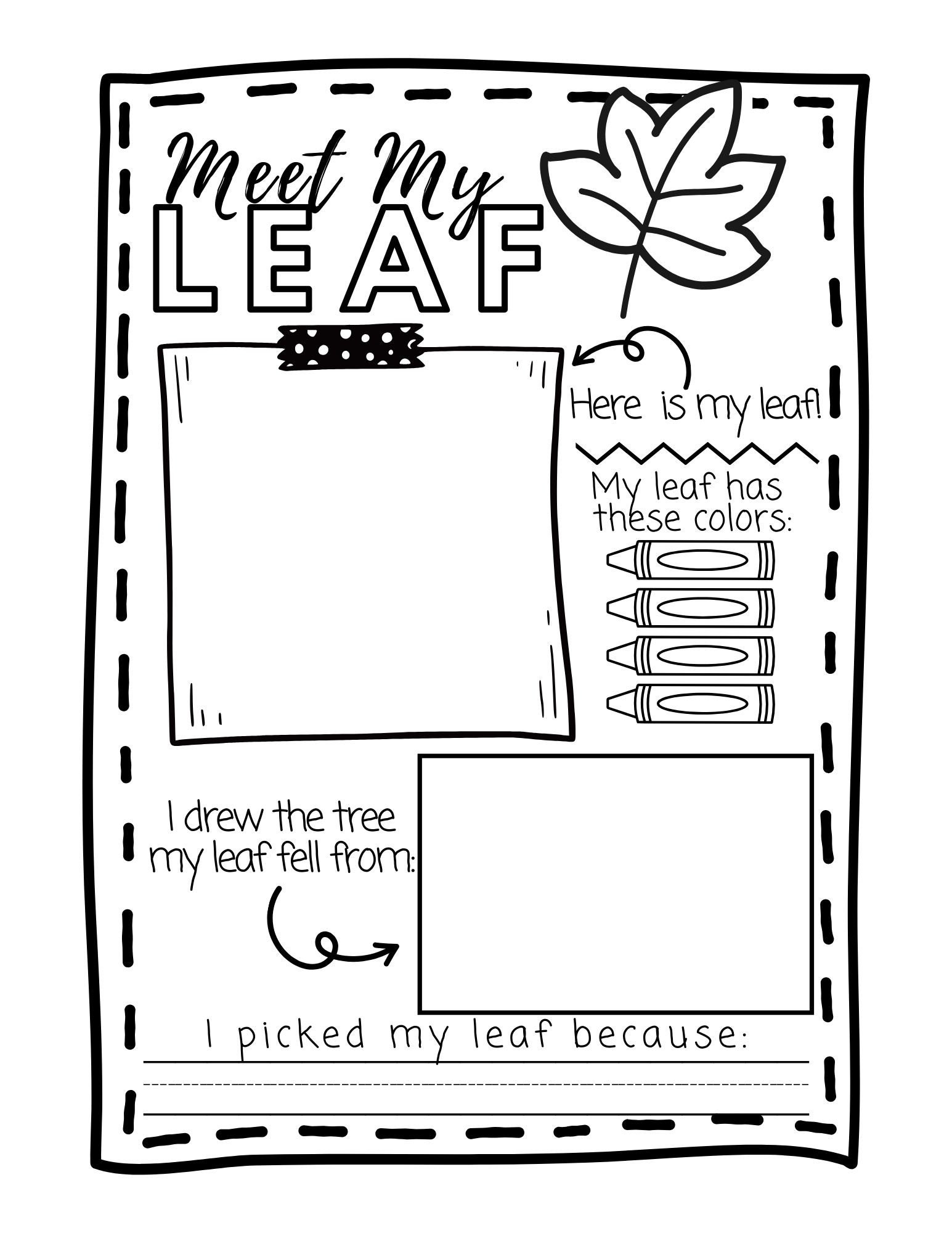 PRINTABLE: Meet My Leaf Activity - Etsy