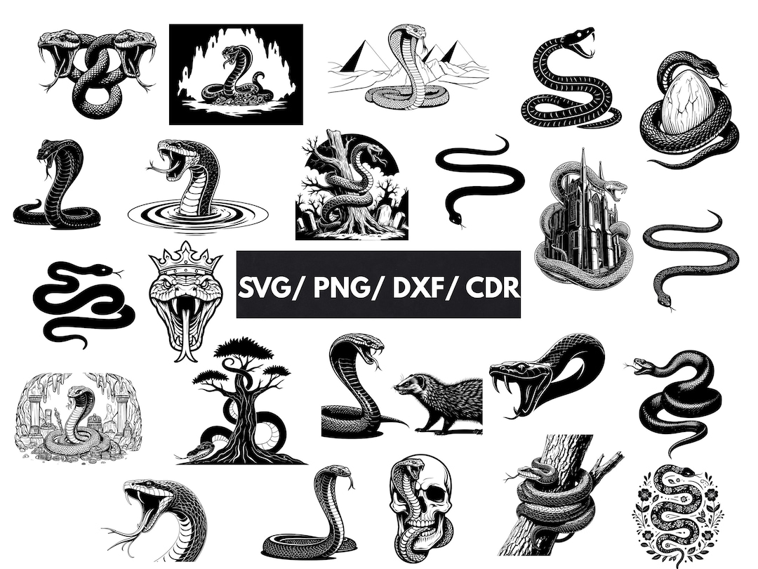 Snake SVG Bundle, Snake PNG Bundle, Floral Snake Svg, Snake Clipart ...