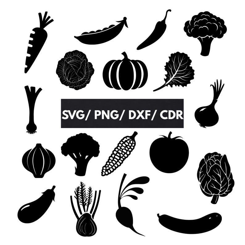 Vegetable SVG DXF Png Cdr Bundle, Veggie Illustrations (digital ...