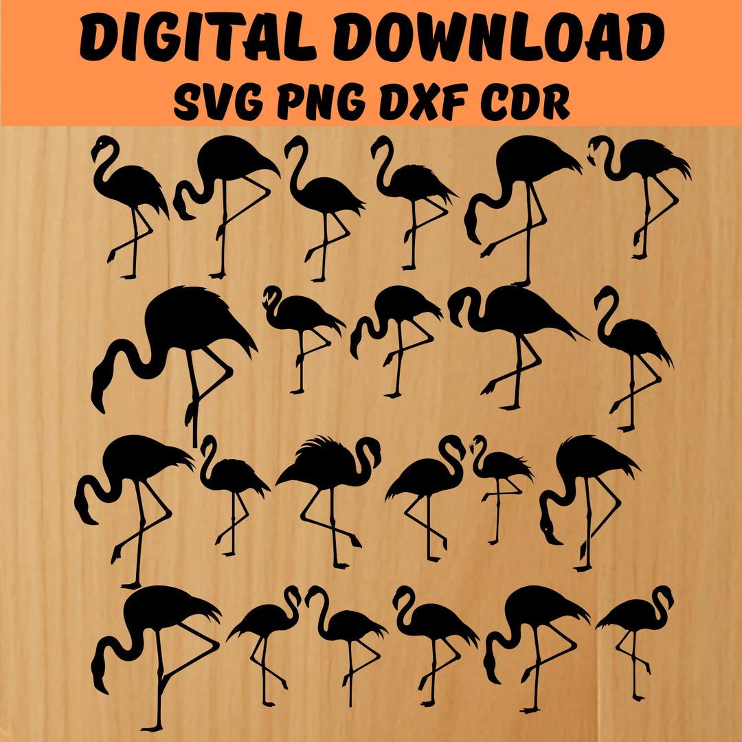 Fish SVG Bundle | SVG Designs | Cricut Silhouette | Digital Download ...